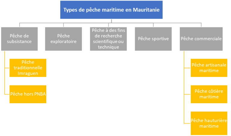 Types de pêche en Mauritanie – FiTI-Mauritanie